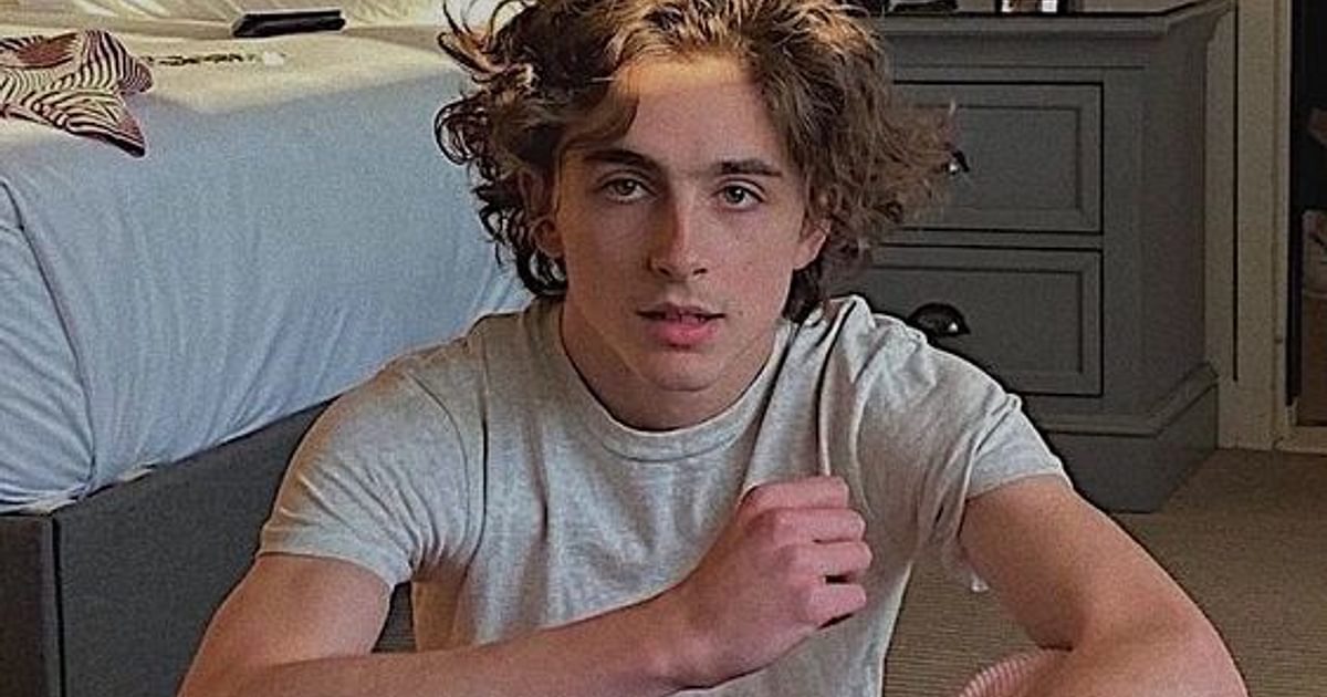 Timothée Chalamet krijgt eerste wassen beeld | TAGMAG