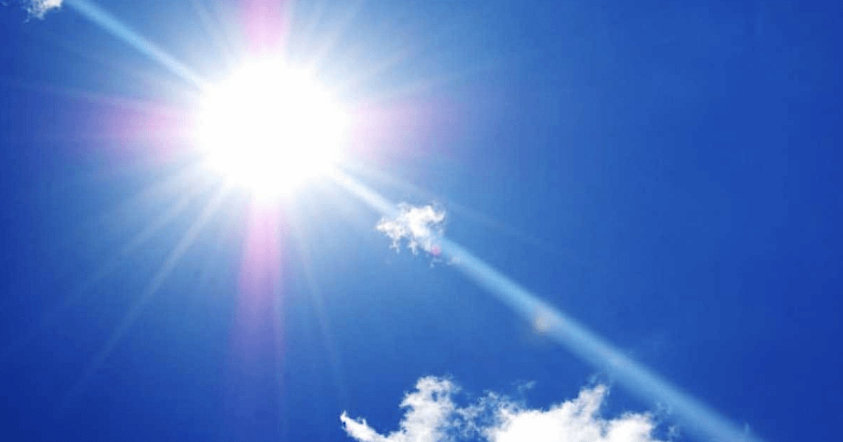 Het wordt terug zomers warm met 30 graden! | TAGMAG