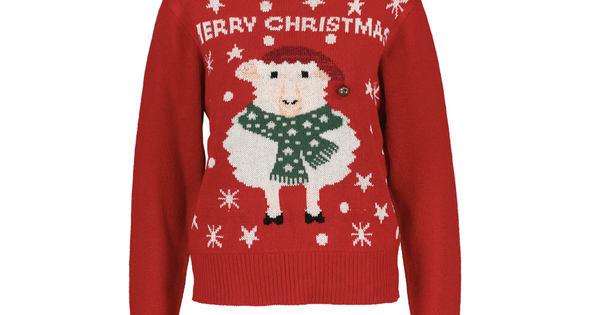 Zeeman lanceert collectie met foute kersttruien | TAGMAG